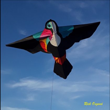 BC Kites – Prism Stunt Kites Canada