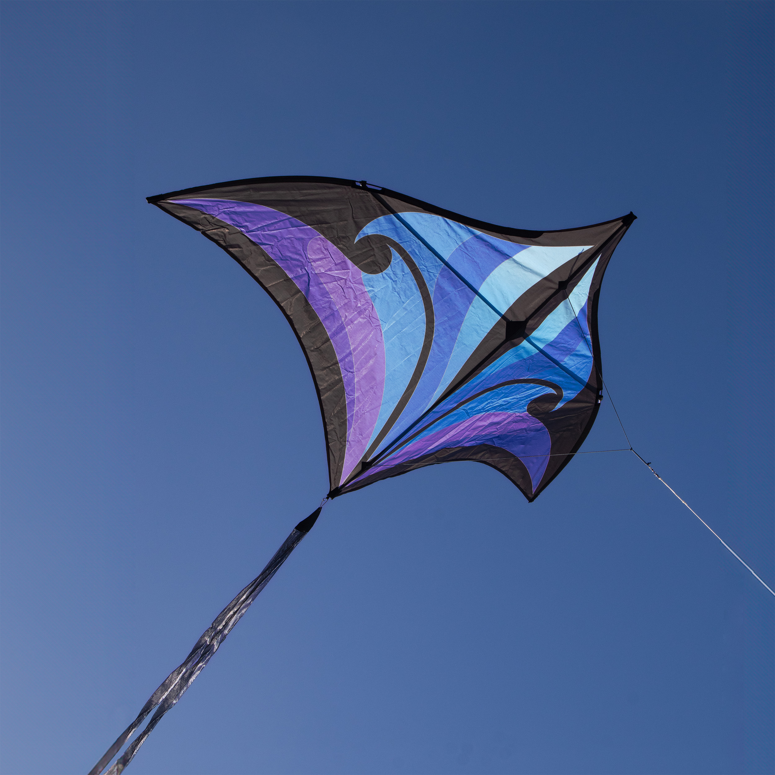 Brasington Swift Delta Kite – BC Kites